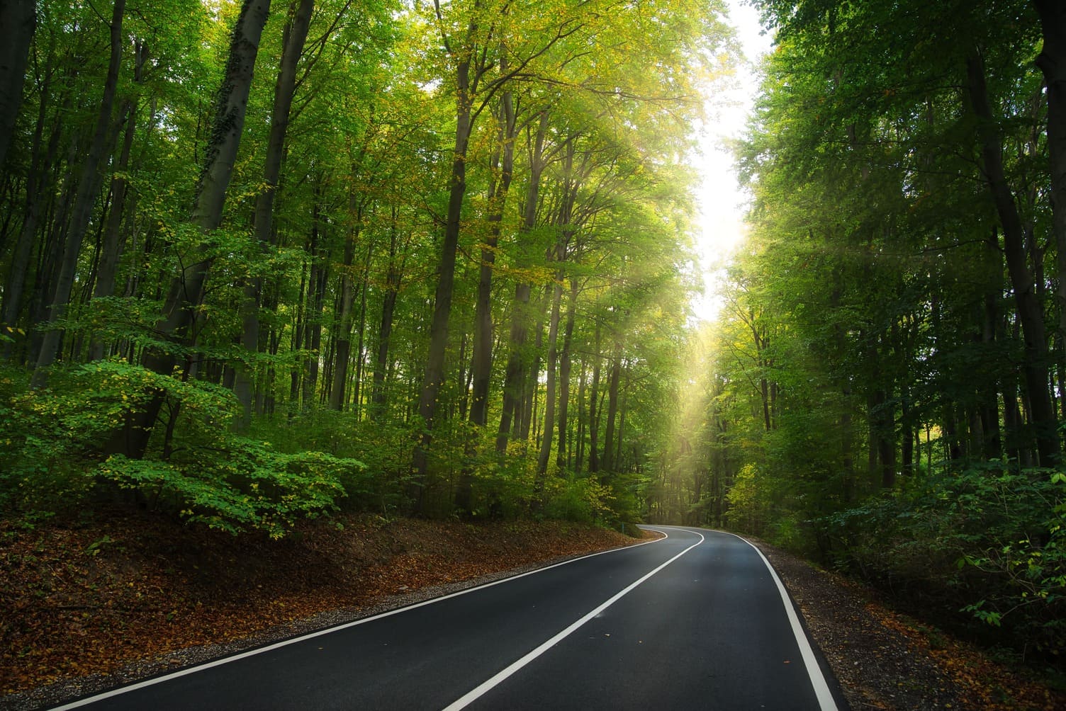 3 Ways to Build Internal Buy-In for Sustainable Supply Chains ...